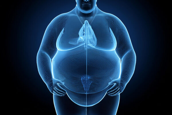 Services | Optimum Wellbeing